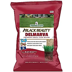 Jonathan Green (10392) Black Beauty Delmarva Grass Seed (Made for Maryland, Delaware, Virginia) - Cool Season Lawn Seed (25 lb)