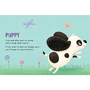 Baby Animals: A Touch and Feel Book - Children's Board Book - Educational