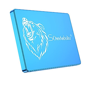 Somnambulist Laptop/Desktop SSD 2.5" SATA3 120gb 240gb 60gb SSD Solid State (Blue Bear-120GB)