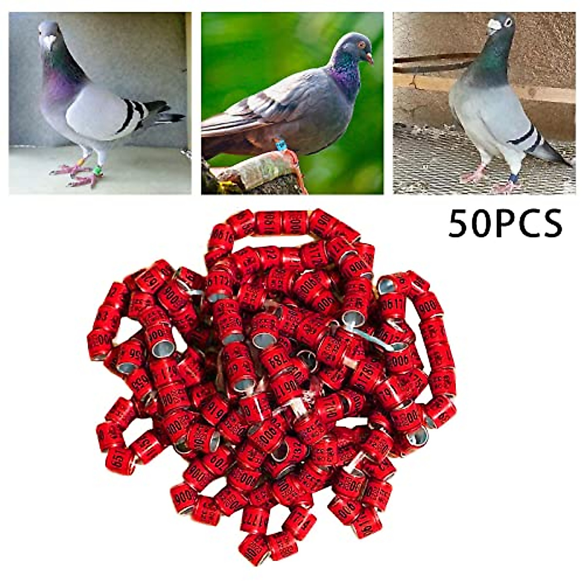 Fenteer 50x 2023 Pigeon Leg Rings Bird Foot Bands for Bantam Finch Canary, Red