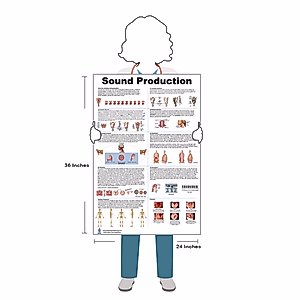 Larynx, Sound Production, Speech Articulation, Articulation LP 24x36 inch, 4 Poster Set