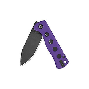 QSP KNIFE CANARY FOLDER POCKET KNIFE, SHARP 14C28N BLADE with COLORFUL G-10 HANDLES (blackwash blade, purple G-10 handle)