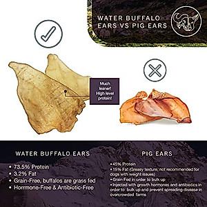 Wild Eats Water Buffalo All Natural Ear Dog Chews, Dog Treats & Dog Snacks - 20 Piece Value Pack (Grain Free Dog Treats - Great Alternative to Pig Ears, Cow Ears, Dog Bones & Rawhides for Dogs)