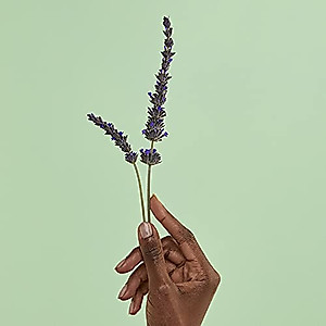 The Honest Company Sanitizing Alcohol Wipes, Lavender, 50 Count (Pack of 3)