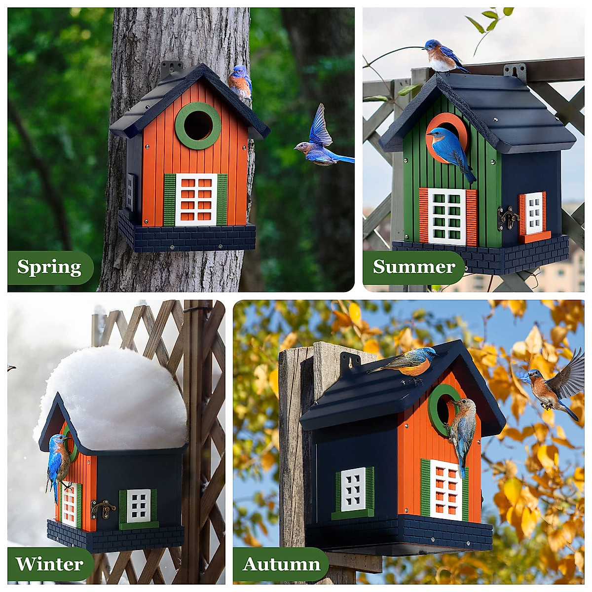Kingsyard Design Bird House with Predator Guard, Colorful Birdhouse for ...