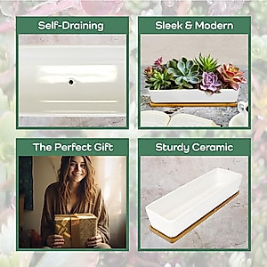 Ceramic Succulent Pots - 1 Pot - Long Rectangle - with Bamboo Tray - White - 11"