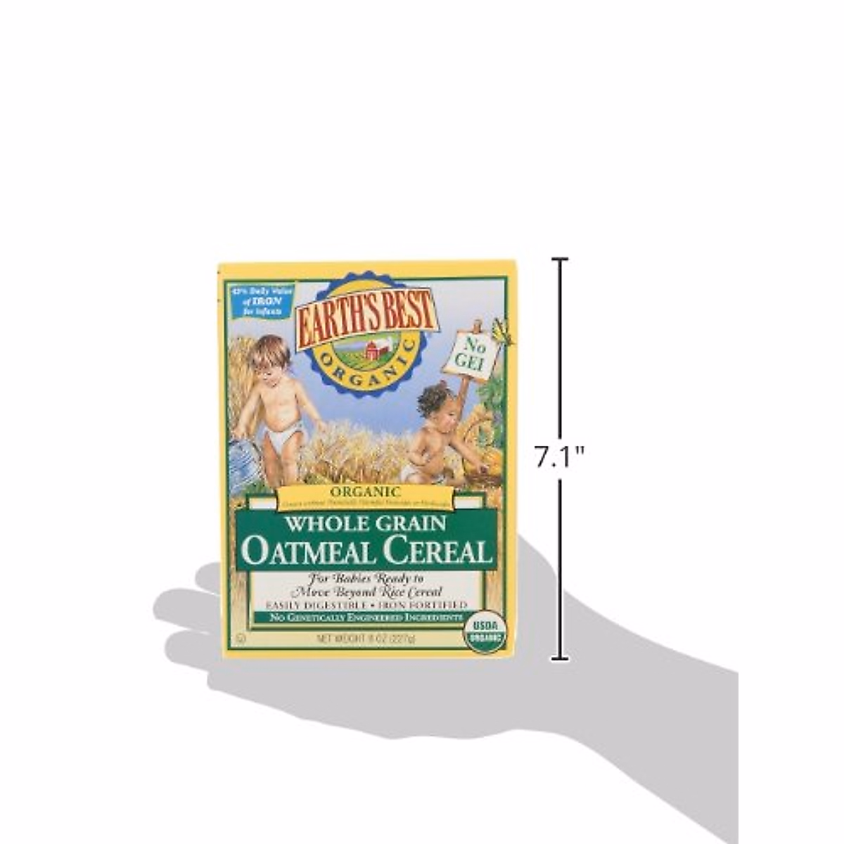 Earth's Best Organic Baby Food, Organic Whole Grain Oatmeal Baby Cereal, Non-GMO, Easily Digestible and Iron Fortified Baby Food, 8 oz Box