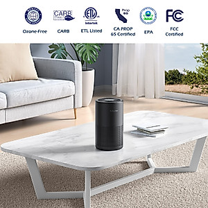 Air Purifiers for Bedroom Home, H13 True HEPA Air Filter, 20db Quiet Air Purifier for Dust Smoke Pollen Dander Pet Odor, Small Air Cleaner for Office Living Room, Ozone Free, 215 ft² Coverage