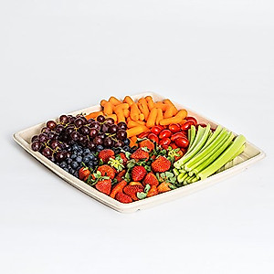 Sabert Terrapac Natural, Eco-Friendly Square Food Platter Tray, 16 x 16 Inch | 25/Case