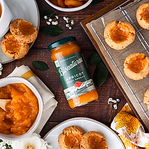 Bionaturae Organic Apricot Fruit Spread - Jelly Organic, Non-GMO, USDA Certified, No Sugar Added, No Preservatives, Organic Fruit Jam, Jam Organic, Made in Italy - 9 Oz, 2 Pack