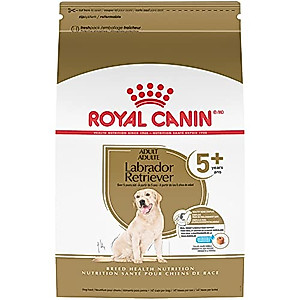 Royal Canin Breed Health Nutrition Labrador Retriever Adult Dry Dog Food