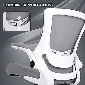 Misolant Desk Chair, Mesh Office Chair, Ergo Chair, Ergonomic Office Chair with Adjustable Lumbar Support and Height, Office Desk Chair 360°Swivel Office Chair (Light Gray)