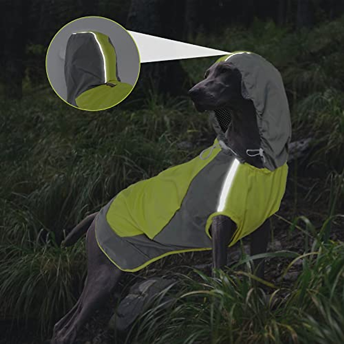 IECOii Dog Raincoat, Adjustable Dog Rain Jacket with Reflective Stripes, Dog Rain Coat with Hood, Waterproof Lightweight Dog Coat, Dog Raincoat with Magic Sticker, Pet Raincoat for Medium Large Dogs