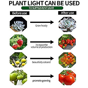 Espird Outdoor LED Grow Lights for Greenhouse Waterproof String Grow Light, Full Spectrum LED Plant Grow Light Lamp, Waterproof Greenhouse Grow Lights for Seedling, Veg, Flower (6-Bulbs)