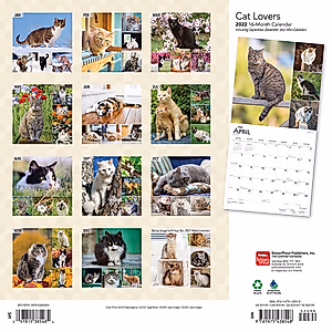 Cat Lovers 2022 12 x 12 Inch Monthly Square Wall Calendar with Foil Stamped Cover, Animals Domestic Kittens Feline