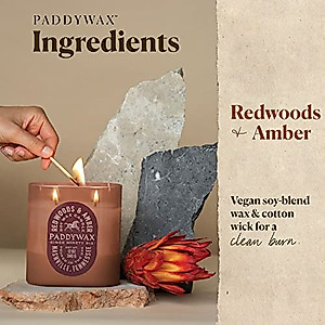 Paddywax Candles VS1003 Vista Collection Scented Candle, 12-Ounce, Redwoods & Amber, 12 Ounces