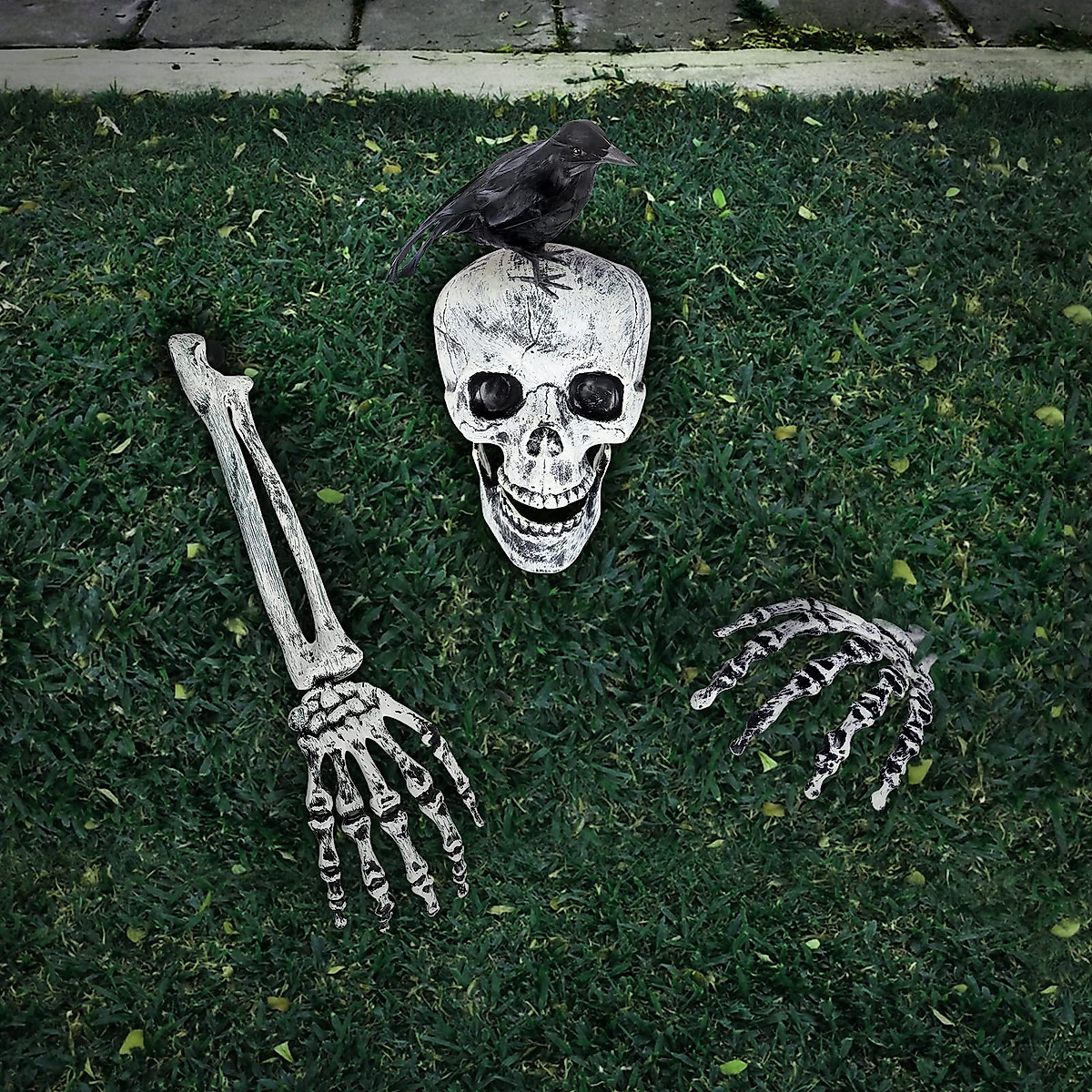 Skeleton Stakes with Crows - Scary Outdoor Halloween Yard Lawn Decorations, Groundbreakers for Skull Garden Graveyard Decor