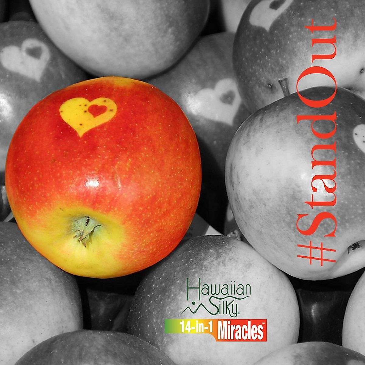 Hawaiian Silky Static-Free Apple Cider Vinegar Leave-in Conditioner, 8 fl oz - Black Castor Oil Extract for Hair Growth - Natural Treatment Men, Women & Kids - Good on Color Treated Scalp