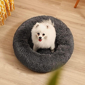 Geizire Cat Bed Dog Bed for Cats, Small Dogs, Washable Donut Calming Round,Soft Fluffy Warm and Cozy Anti Anxiety Cuddler, Joint-Relief Pet Bed (Medium, Green)