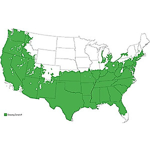 Perfect Plants Anna Apple Tree Live Plant, 4-5', Includes Care Guide