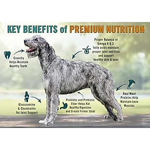 Chicken Soup for The Soul Classic Dry Large Breed Adult Dog Food, Beef & Brown Rice Recipe, 28 Pound Bag | Soy Free, Corn Free, Wheat Free, Made with Real Ingredients