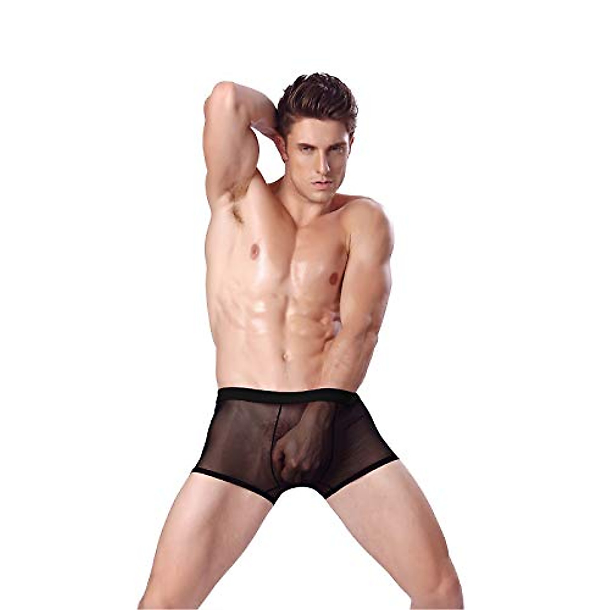 Evankin Men's Sexy Mesh Boxer Briefs Transparent Lingerie Black Mesh Transparent Bulge Pouch Valentines Underwear(45Black,XXL)