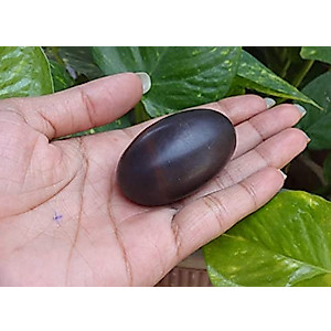 M FRANCISCO Natural Shaligram Hindu Pooja Shivlingam, Shiva, Shivling Small Beautiful Healing Stones Meditation Energy India Meditation Metaphysical Sacred Hindu Valley