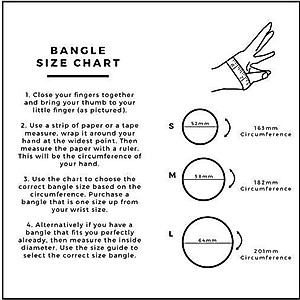 Laal Amrood Glass Bangles For Women & Girls Indian Jewelry Multi Color Chudi Set (24 Bangles)