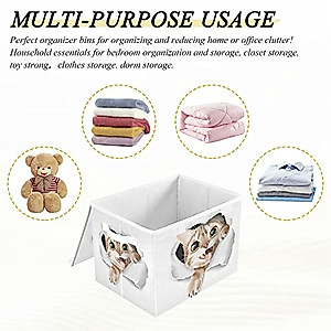 RunningBear Cartoon Cute Cat Large Storage Bins with Lid Collapsible Storage Bin Shelves Basket Clothes Toys Bin for Home Toys Clothes