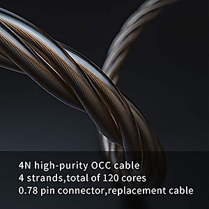 FiiO FD1 Hi-Res Earphone Wired,Beryllium-Plated 1DD,4-Stranded High-Purity Monocrystalline Copper, 0.78pin,Strong Bass (Without Mic,Black)