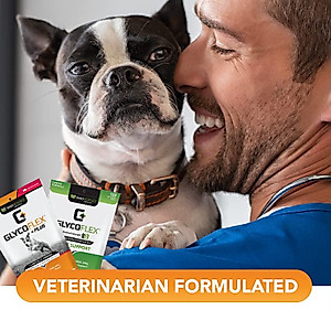 VetriScience Glycoflex 2 Hip and Joint Supplement for Working and Active Dog Breeds, Chicken, 120 Chews - Joint and Mobility Support for Competitive and Maturing Dogs