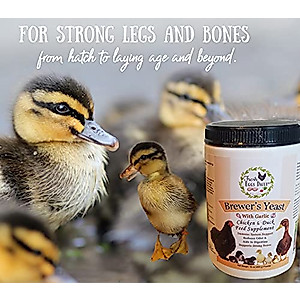 Fresh Eggs Daily Brewer's Yeast with Garlic Powder and Niacin for Ducks Feed Supplement Vitamins for Backyard Chickens 1LB
