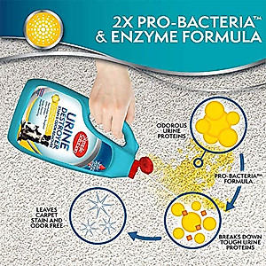 Simple Solution Urine Destroyer Enzymatic Cleaner | Pet Stain and Odor Remover with 2X Pro-Bacteria Cleaning Power | 17 Ounces