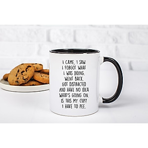 I Came I Saw I Forgot What I Was Doing Coffee Mug - Funny Senior Citizens Sarcastic Gifts Old People Elderly Mom Dad Grandma Grandpa - Presents Mothers Day Fathers Day Birthday - 11 oz Novelty Cup