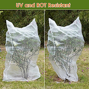Bird Netting For Blueberry Bushes-3pcs 3.2 X 4.9 Ft,Strawberry Plant Protector,Cicada Netting For Young Trees,Blueberry Bush Netting,Plant Covers From Insects,Plant Netting For Bugs,Fruit Tree Netting