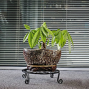 NSYOOMH 2 pack 10"-12" Rustproof Black Metal Plant Stands Heavy Duty Plants Holder Outdoor Indoor, Round Wrought Iron Flower Planter Pot Stand, Corner Gardening Pumpkin Stand