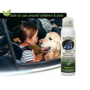 DWD2 Protect™ Automotive Mold Treatment - Revitalize Your Car's Interior The Green Automotive Mold Treatment Solution. Say Goodbye to Unpleasant Odors and Hello to a Fresh and Protected Cabin (FOGGER)