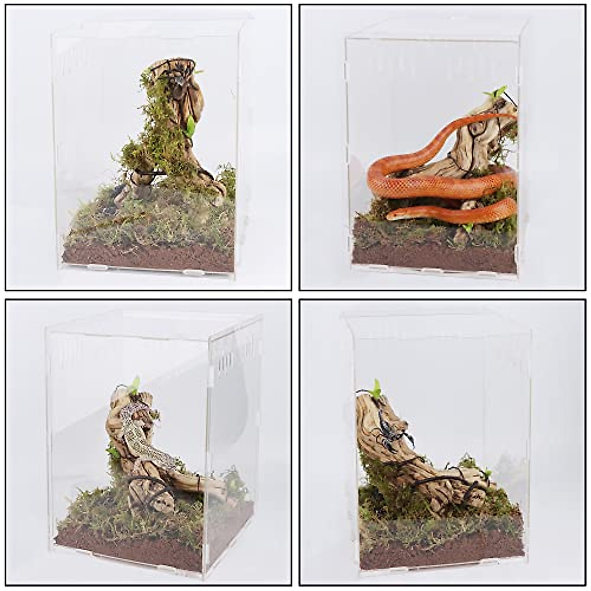 winemana Reptile Terrarium Aquarium Breeding Tank, 14.5" x 10.5" x 10" Acrylic Tarantula Enclosure Feeding Box Insect Habitat for Tarantula Spider Snake Lizard Hermit Crab Insect