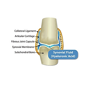 Hyalogic HyaFlex Pro-Complete Dog Joint Supplement, Canine Joint Support – Hyaluronic Acid Joint Supplement for Dogs –w/Glucosamine MSM Supplement 30-60 Day Supply, Cartilage & Coat Supplement