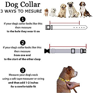 Roses&Poetry Reflective Dog Collar with Gradient Mistyrose,Adjustable Durable Pet Collars for Small Medium Large Dogs （Mistyrose-XS