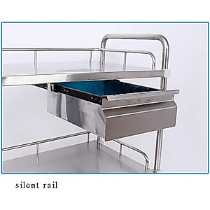 Cart Trolley, Lab Clinic Serving Cart Trolley 2-Tier Medical Trolley Stainless Steel Treatment Trolley/Medical Laboratory Equipment Carts/Beauty Salon Tool Car，L50xW40xH86cm The Taste of Home