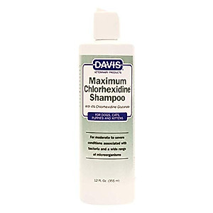 Davis Maximum Chlorhexidine Pet Shampoo, 12 oz