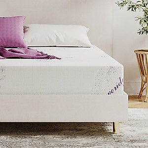 Dyonery 8 Inch Lavender Infused Memory Foam Mattress Queen Size, Pressure Relief, Bed in a Box, CertiPUR-US Certified