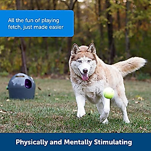 PetSafe Automatic Tennis Ball Launcher – Interactive Dog Ball Thrower – Adjustable Range – Motion Sensor – Indoor & Outdoor Toy – A/C Power or Batteries – Fetch Machine for Small to Large Dogs , Gray