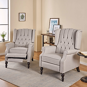 Christopher Knight Home Earlean Fabric Recliner (Set of 2), Light Gray, Dark Brown