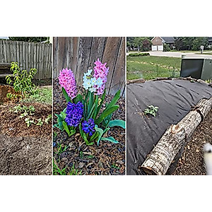 30 QT Professional Grade Horticultural Organic Vermiculite (30 QT, Vermiculite)