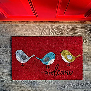 Bonletti Coir Door Mat with Attractive Bird Design for Outdoor Entrance - Cute 18"X30" Three Birds Doormat