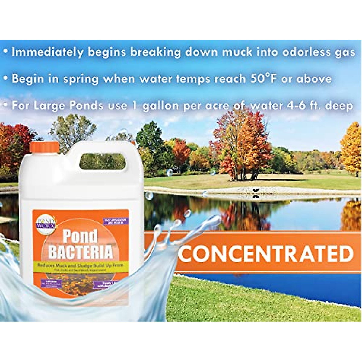 PondWorx Pond Bacteria - Formulated for Large Ponds, Water Features and Safe for Koi - Gallon
