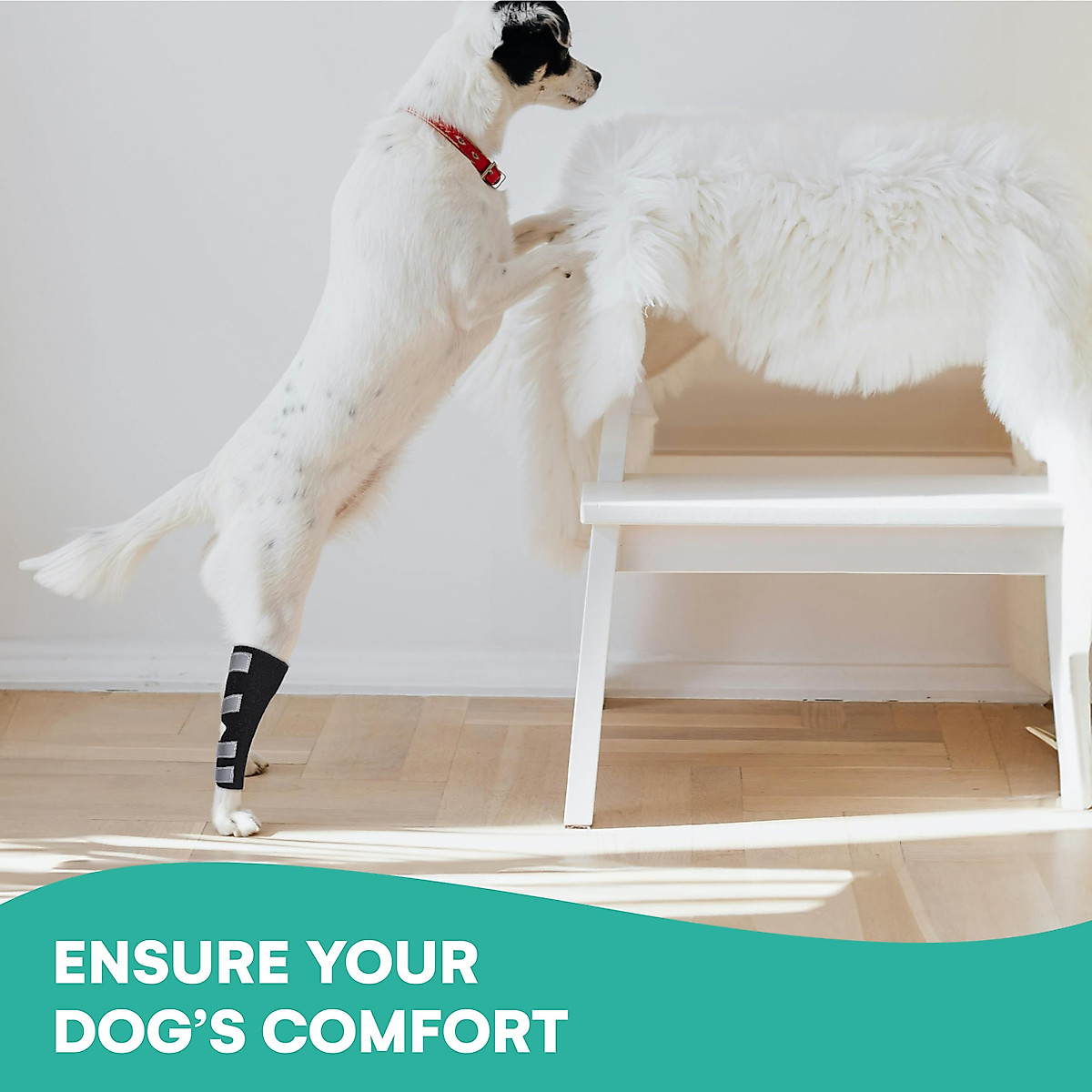 Dog Rear Leg Braces - Braces for Back Legs - Medium-Sized Dog Ankle and Small Dog Knee - Leg Sleeve, Hock and Ankle Support - Joint Wrap Compression Brace for ACL Tear - Canine Broken Leg Protector -