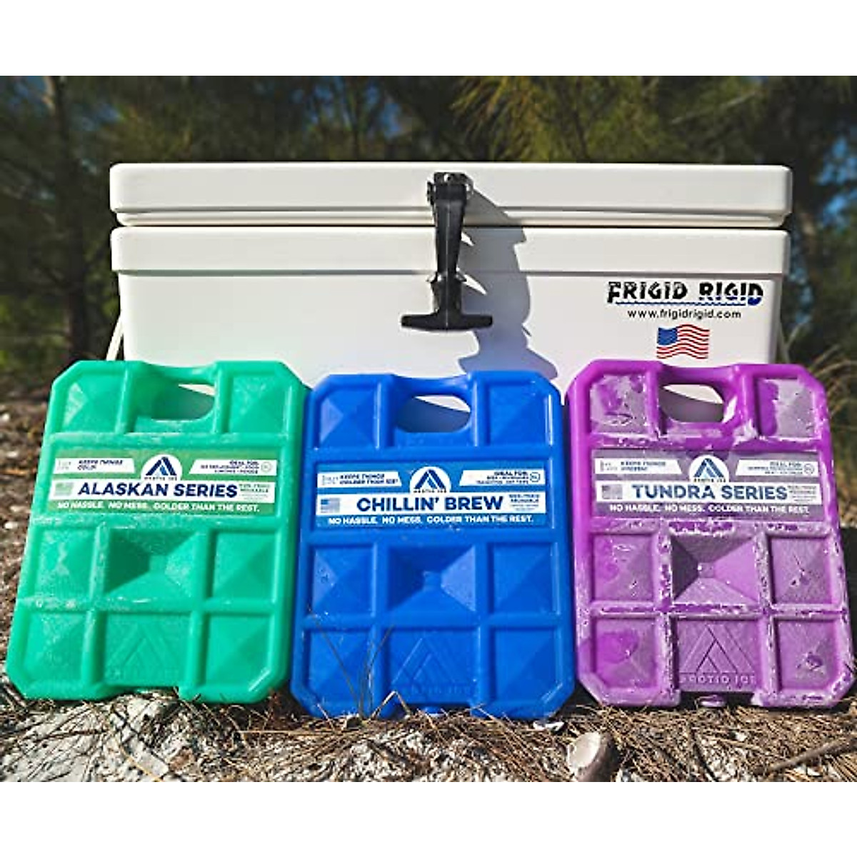 ARCTIC ICE Tundra Series, Long Lasting Reusable Ice Pack, Purple, Medium, 1.5 lbs